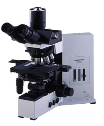 Inspection Microscope Olympus | Center for Nanoscience and Nanotechnology